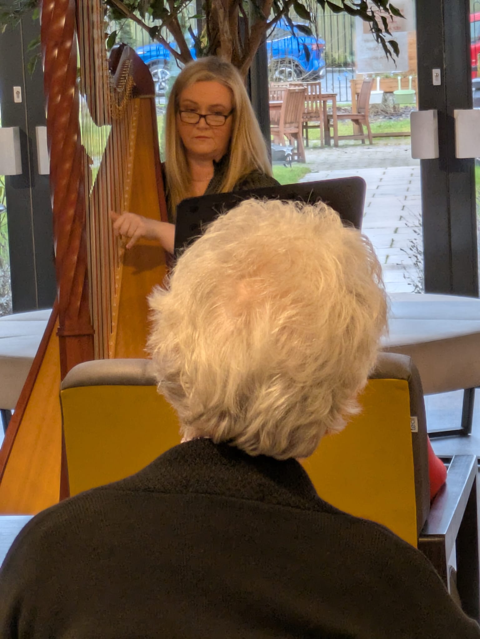 Live Harp Music Visit Delights Residents at Astley View - Evermore Care ...